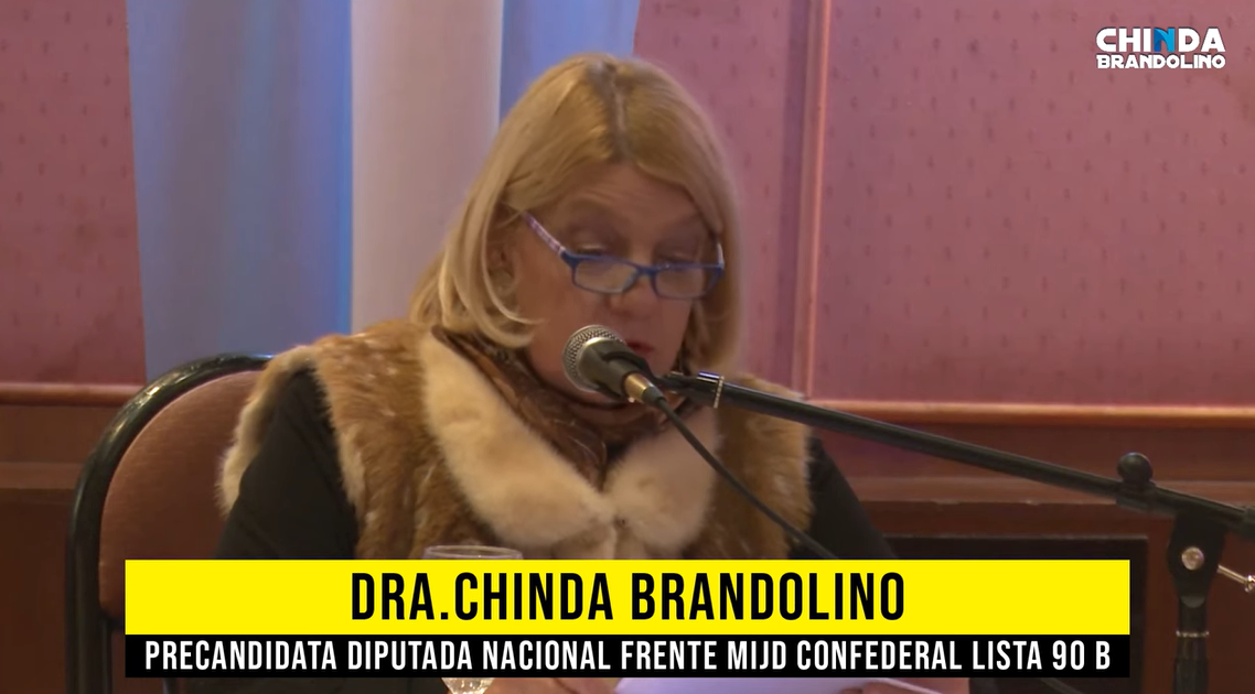 Chinda Brandolino presenta su candidatura a Diputada Nacional ...